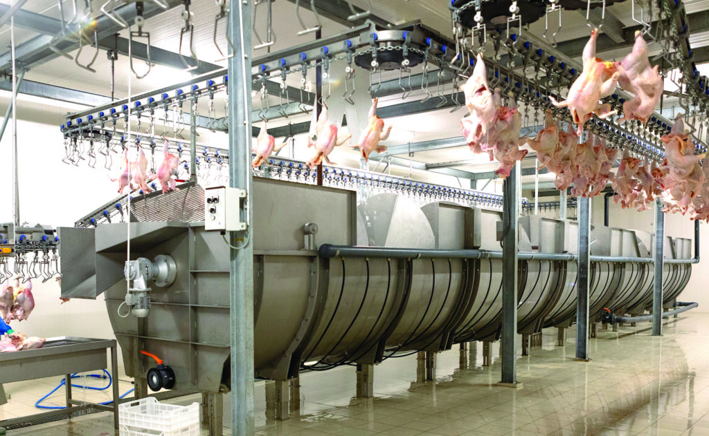 Tahap screw chiller dalam sistem rantai dingin RPHU (Sumber: viv.net ...